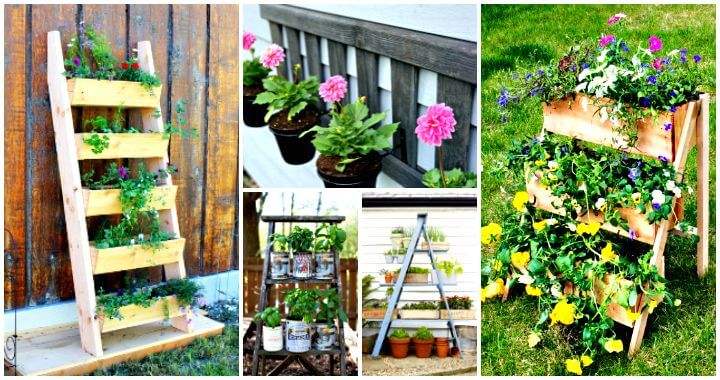 15 DIY Ladder Planter Plans (Learn How to Build)