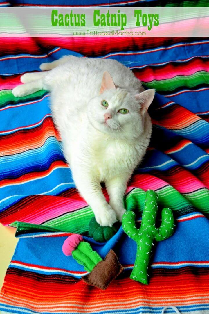 25 Homemade DIY Cat Toys Anyone Can Make