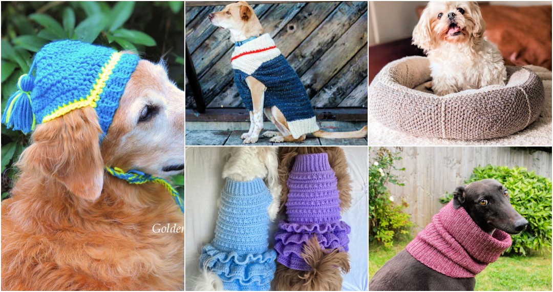 15 Free Crochet Patterns for Dogs (crochet Dog Accessories)