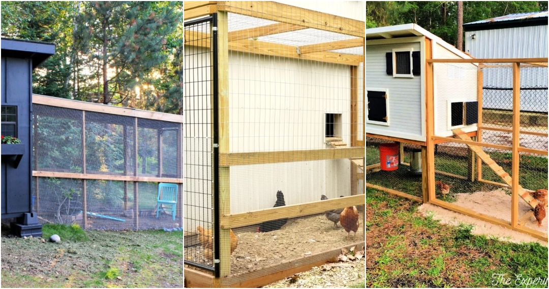 25 Homemade DIY Chicken Run Plans (How to Make)