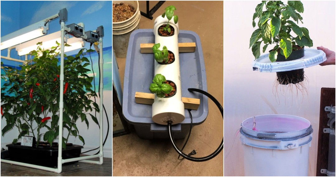 Homemade Diy Hydroponic System How To Build