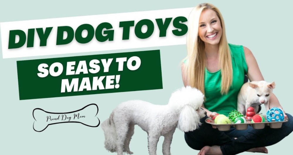 Fun DIY Dog Toys