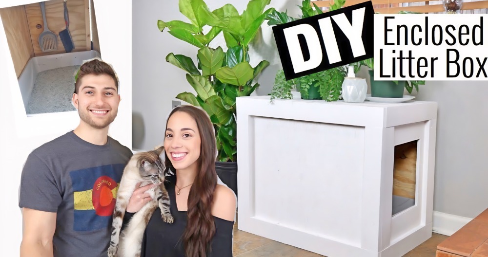 How to Make a DIY Litter Box Enclosure