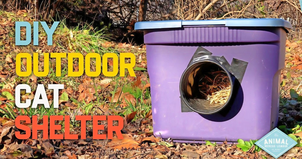 DIY Outdoor Cat Shelter Using Simple Materials