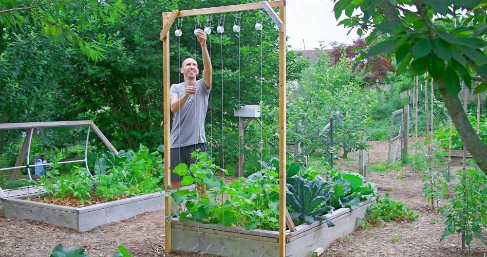 How to Build a DIY Cucumber Trellis