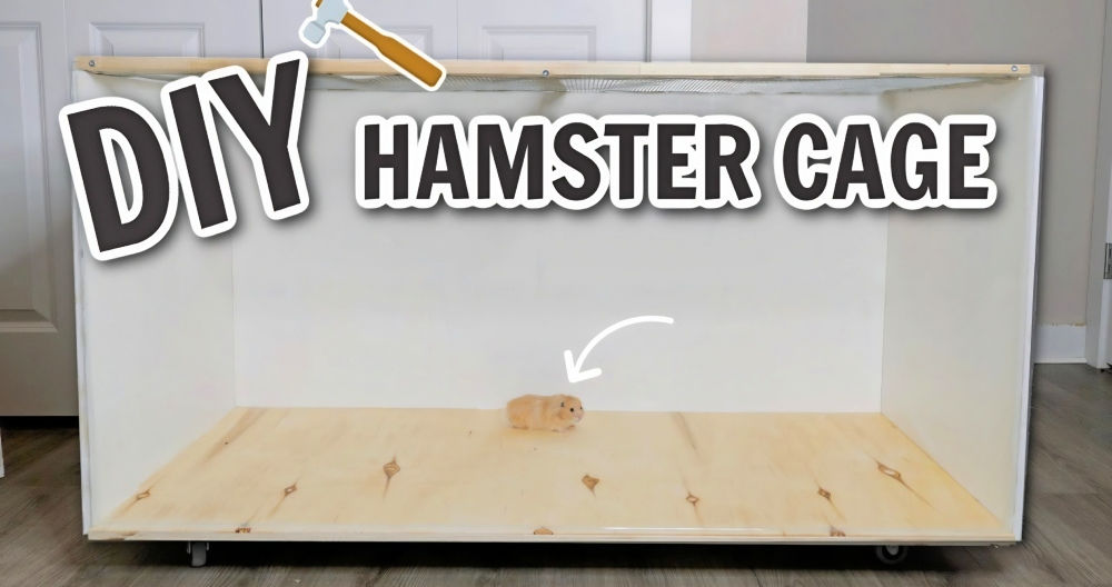 Easy DIY Hamster Cage Project for Beginners