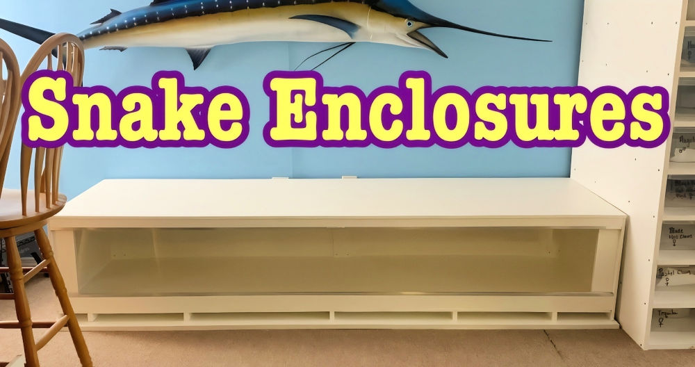 Homemade DIY Snake Enclosure
