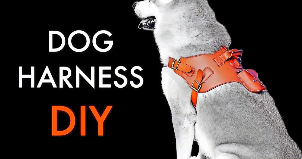 How to Make a DIY Dog Harness