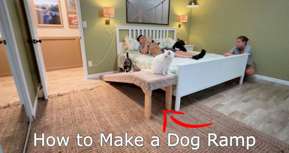How to Build a DIY Dog Ramp