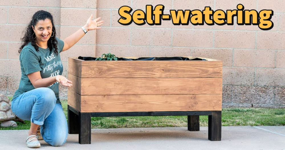 DIY Self-Watering Planter for Effortless Greenery