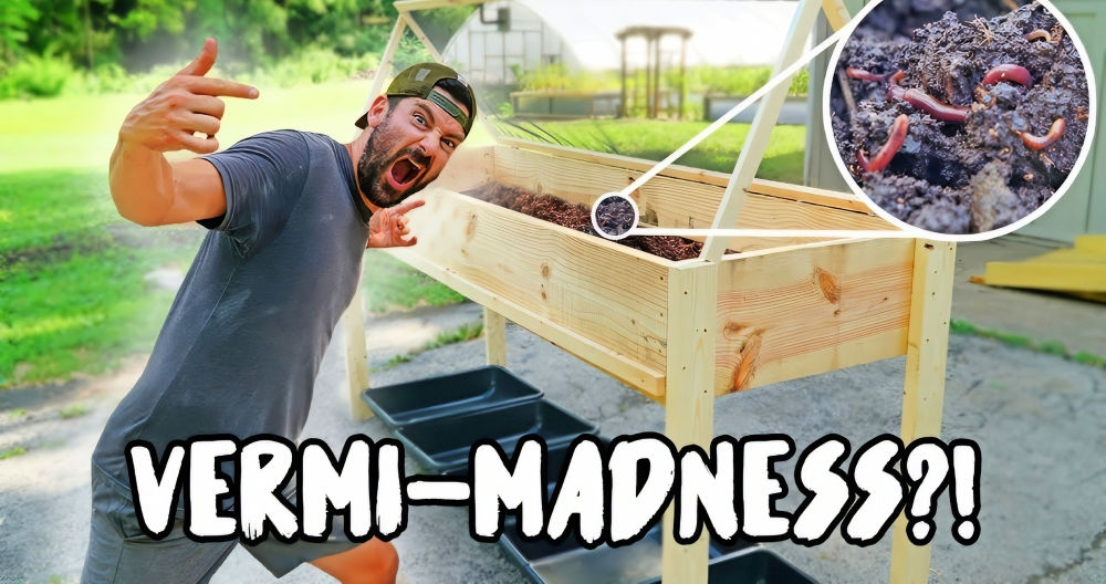 Making Your DIY Worm Bin for Rich Soil