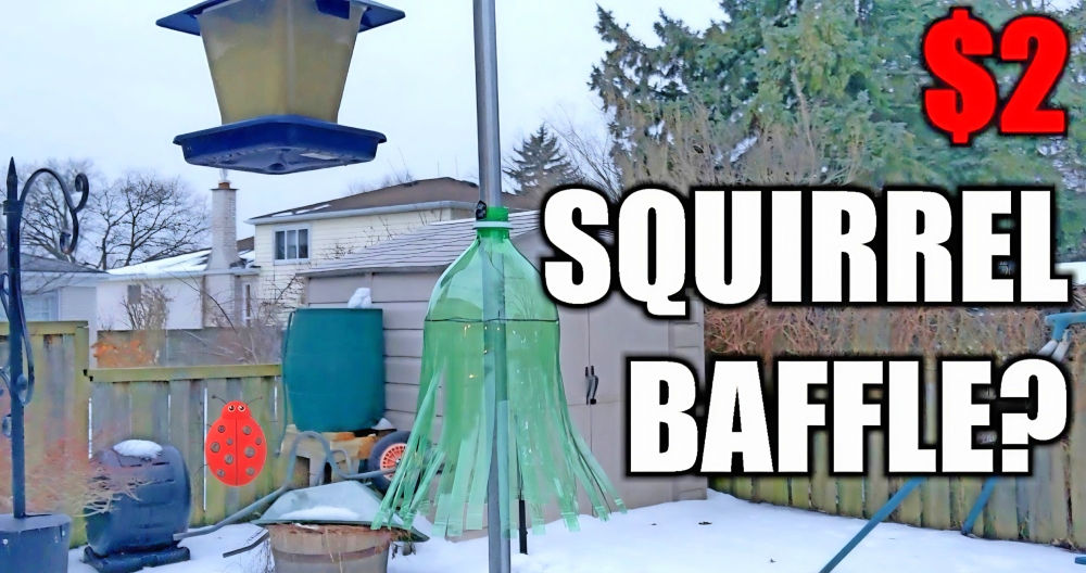 Make Your Own DIY Squirrel Baffle