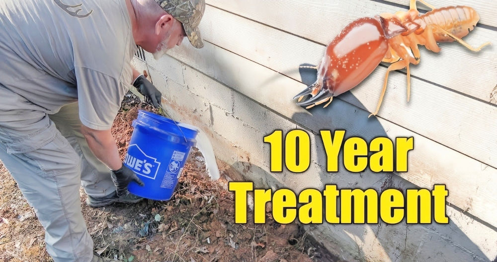 How to DIY Termite Treatment
