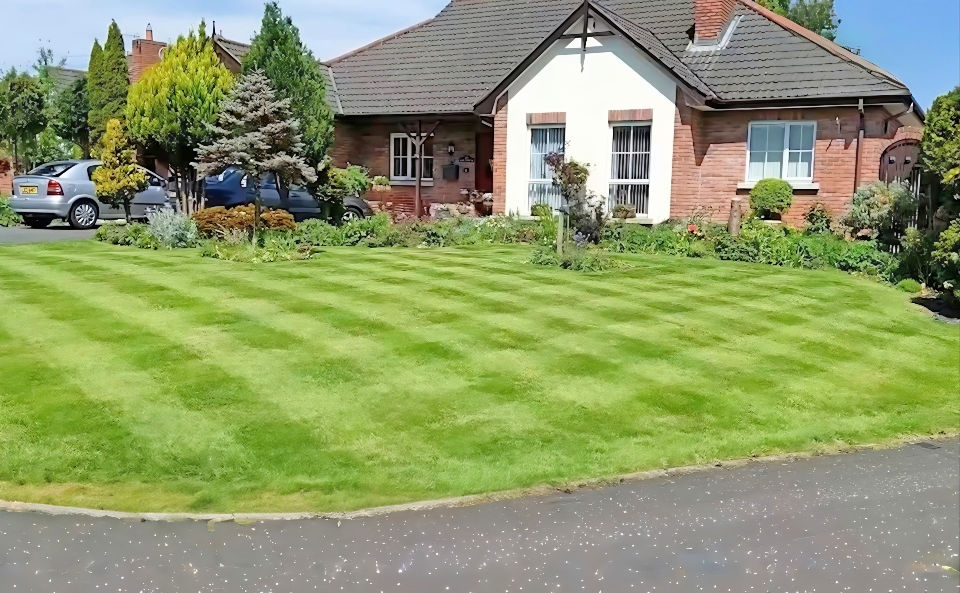 Easy DIY Lawn Care for Beginners