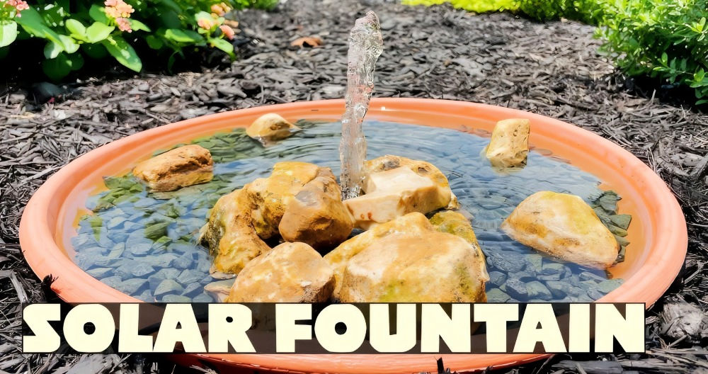 DIY Solar Fountain for Beginners