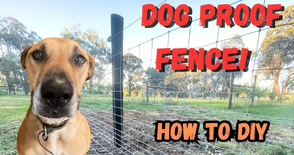 Making a DIY Dog Fence on A Budget
