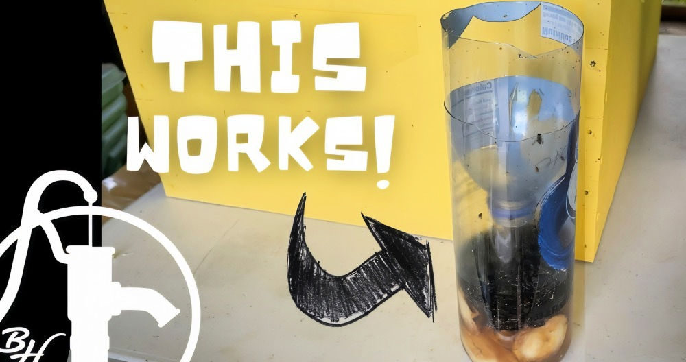 Making a Homemade Fly Trap: Step-by-Step Guide
