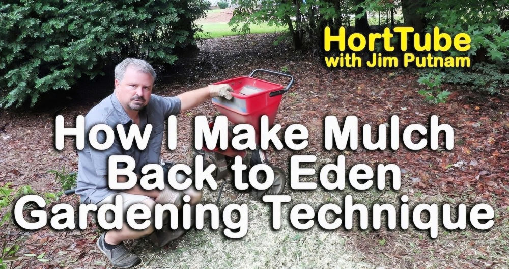 How to Make Your Own Mulch