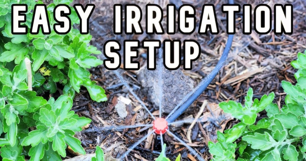 DIY Garden Irrigation System for Beginners