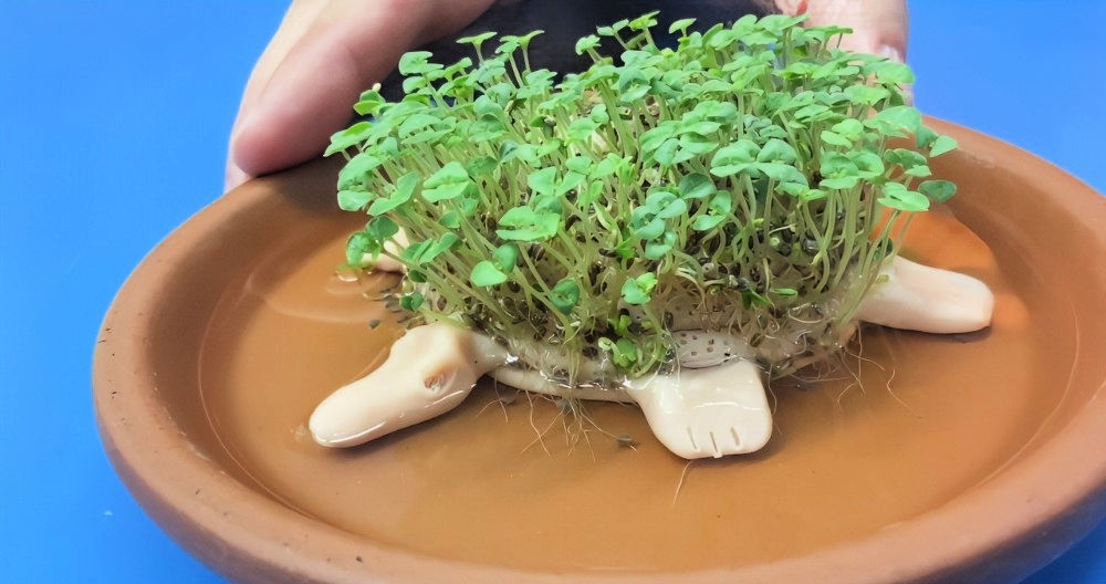 DIY Chia Pet Tutorial: Fun Craft for All Ages