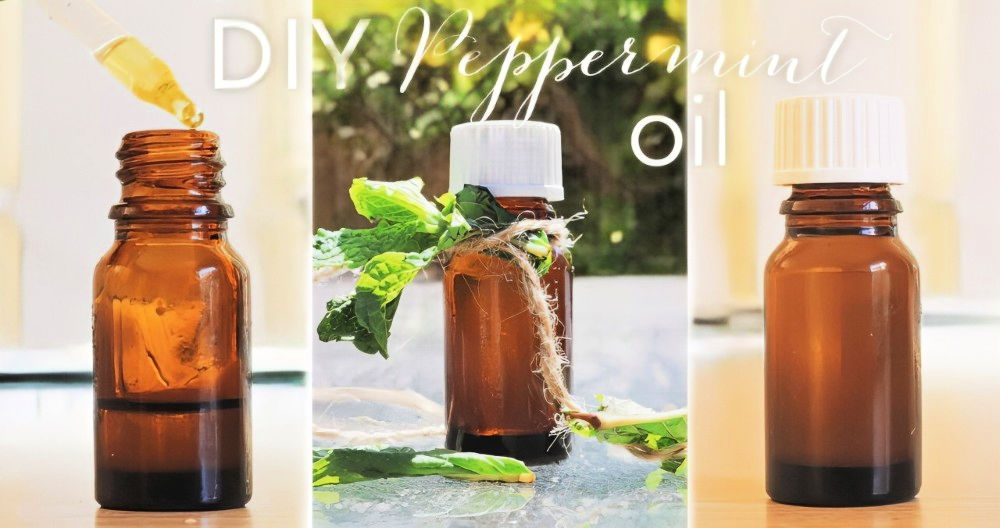 How to Make Peppermint Oil in 5 Simple Steps
