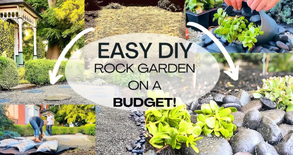 How to Make a DIY Rock Garden