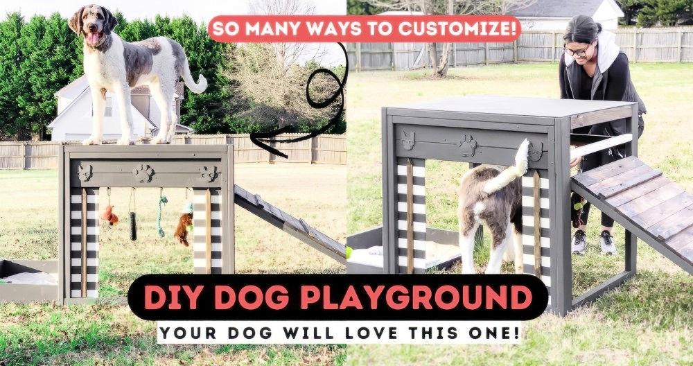 Easy DIY Dog Playground to Build